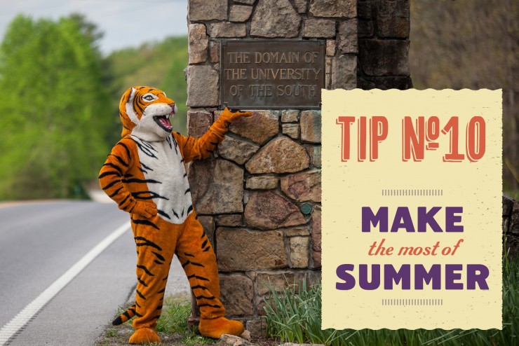 Tiger Tips | The University of the South