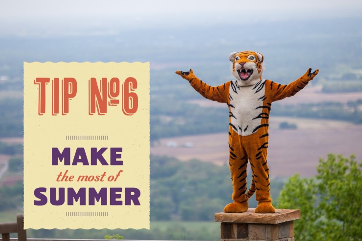 Tiger Tips | The University of the South