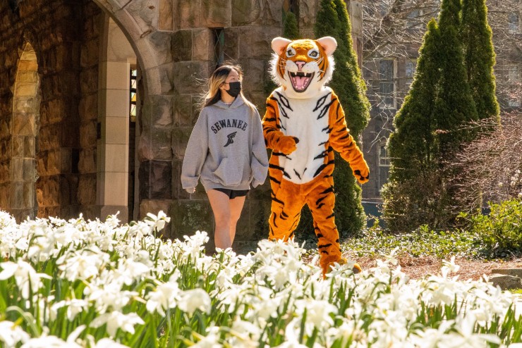 Tiger Tuesday Toolkit | The University of the South