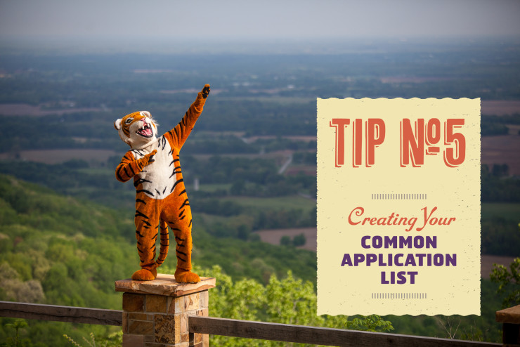 Tiger Tips | The University of the South