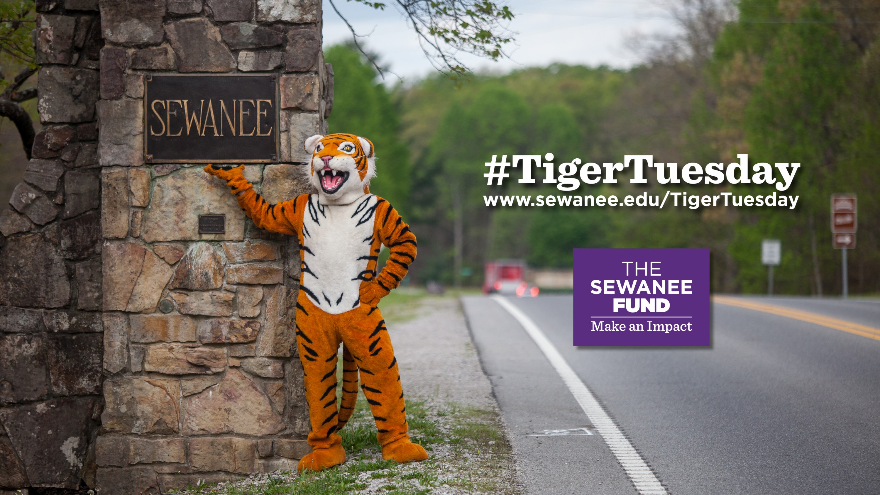 Tiger Toolkit: Social Media | The University of the South