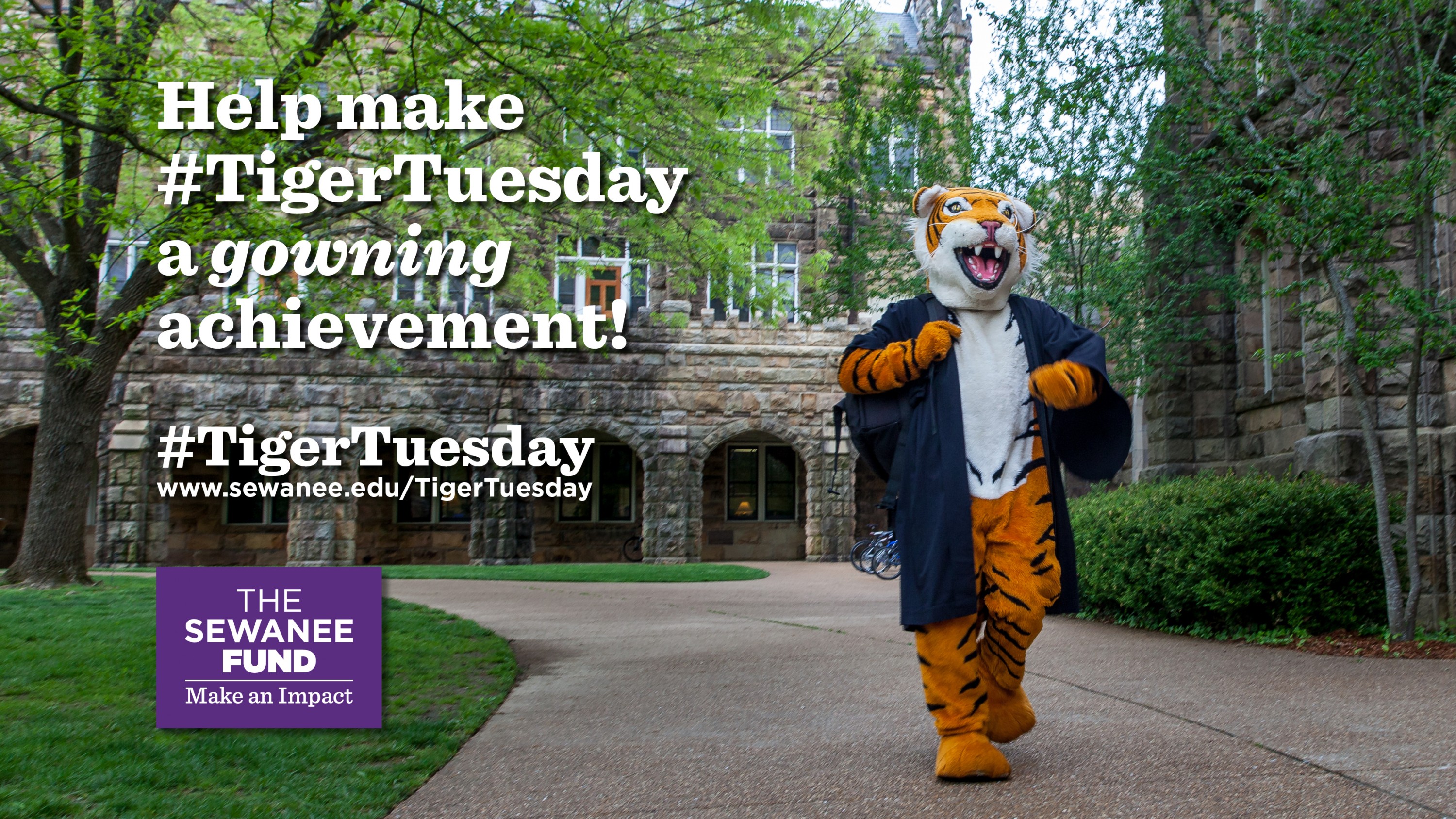 Tiger Toolkit: Social Media | The University of the South